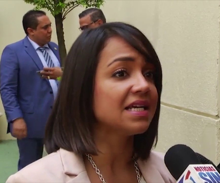 Faride Raful dice Punta Catalina debe ser terminada por otra empresa ...