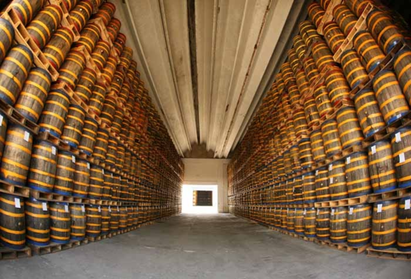 Productores de ron deploran fallo de ONAPI sobre Denominación de Origen ...