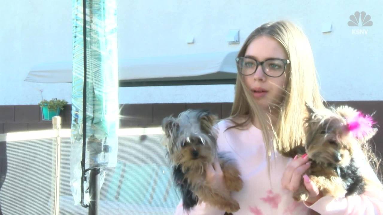 (VIDEO) Joven pelea contra un halcón para salvar su perrito en Las Vegas