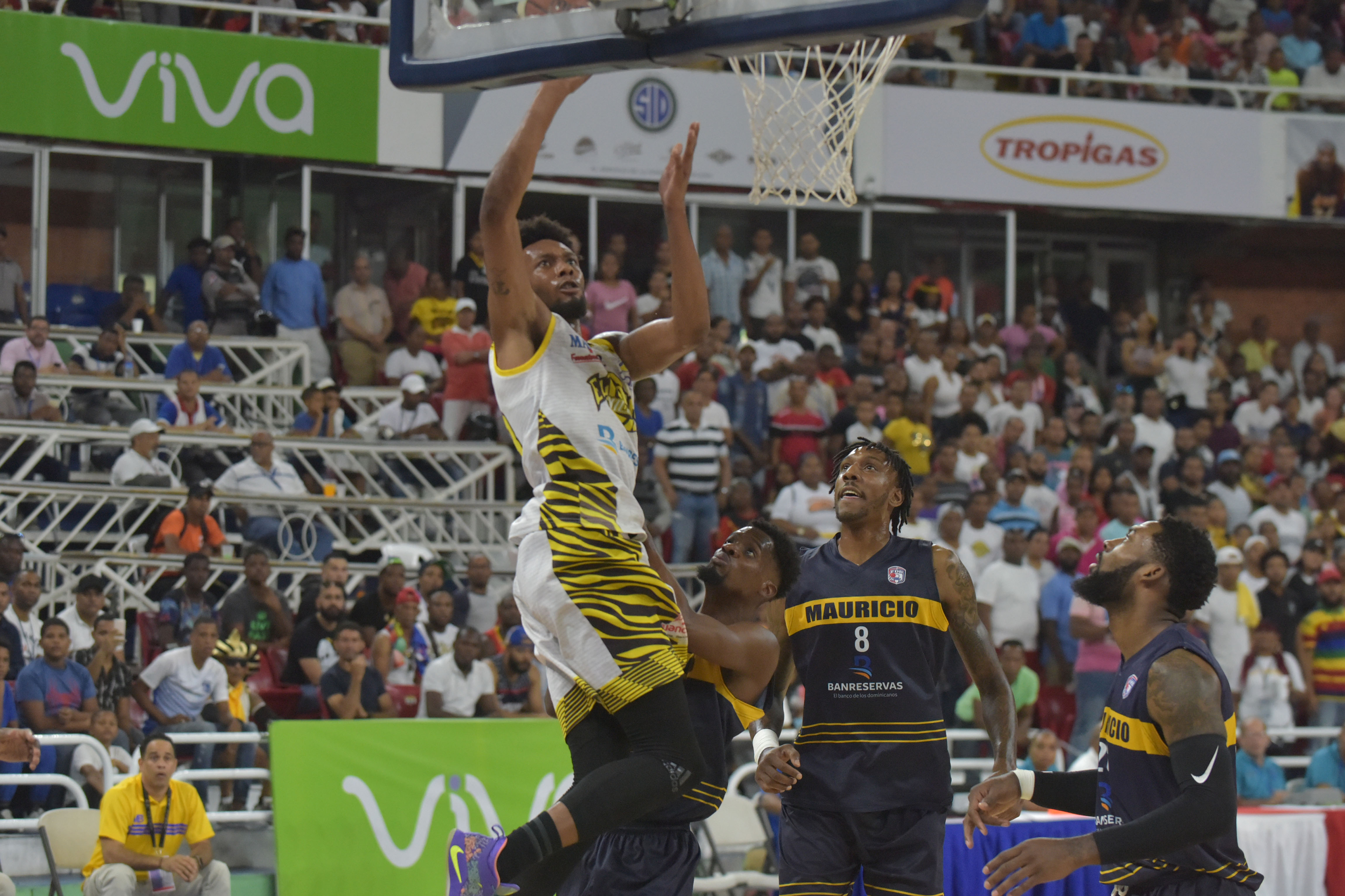 Paris Bass fue el Más Valioso en la serie final del Baloncesto ...