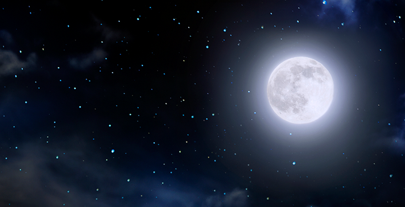 Museo de Houston celebra los 50 años del Apolo XI con una luna gigante ...