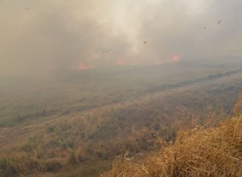Viento y calor reavivan los incendios en Paraguay que amenazan a ...