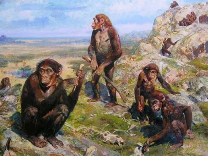 Las defensas de los homínidos han contribuido a la adaptación de los ...