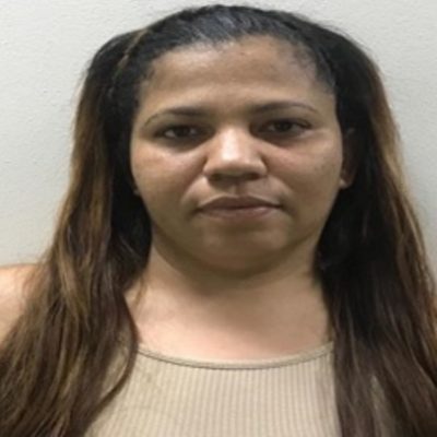 Entregan dominicana pedida en extradición por estafa al Gobierno de EEUU