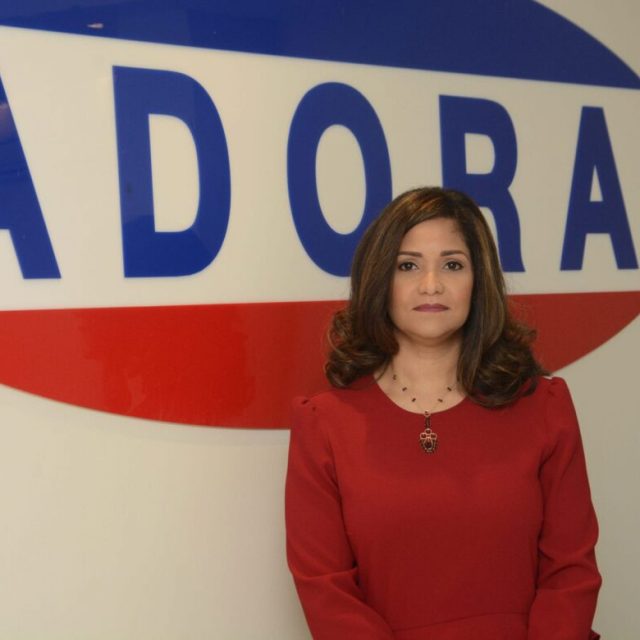 Presentan al presidente Abinader plan reestructuración del sector ...