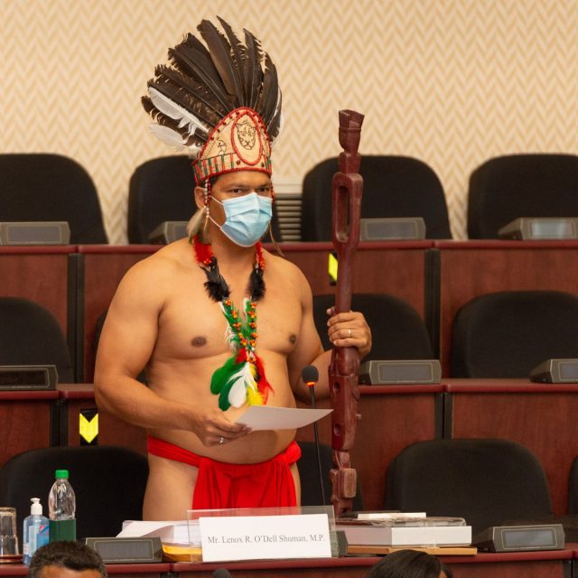 Guyana elige a un indígena como vicepresidente del Parlamento – El ...