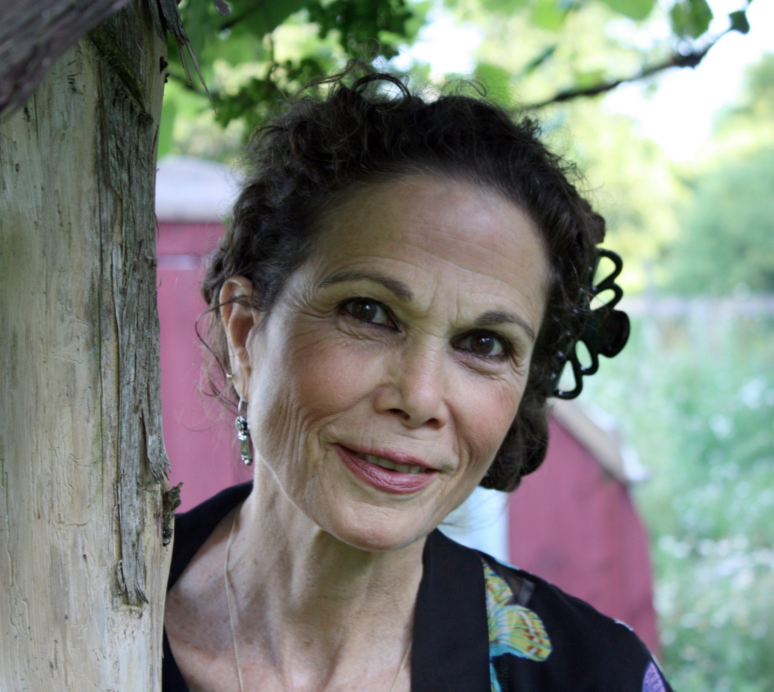 Julia Álvarez dice que las novelas cambian mentes y corazones – El ...