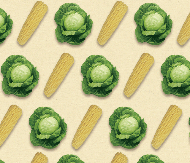 Destacan cultivos de maíz en Luperón y de repollo en La Isabela han ...