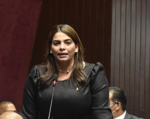 Diputada Verónica Contreras reafirma su posición provida ante tema de ...