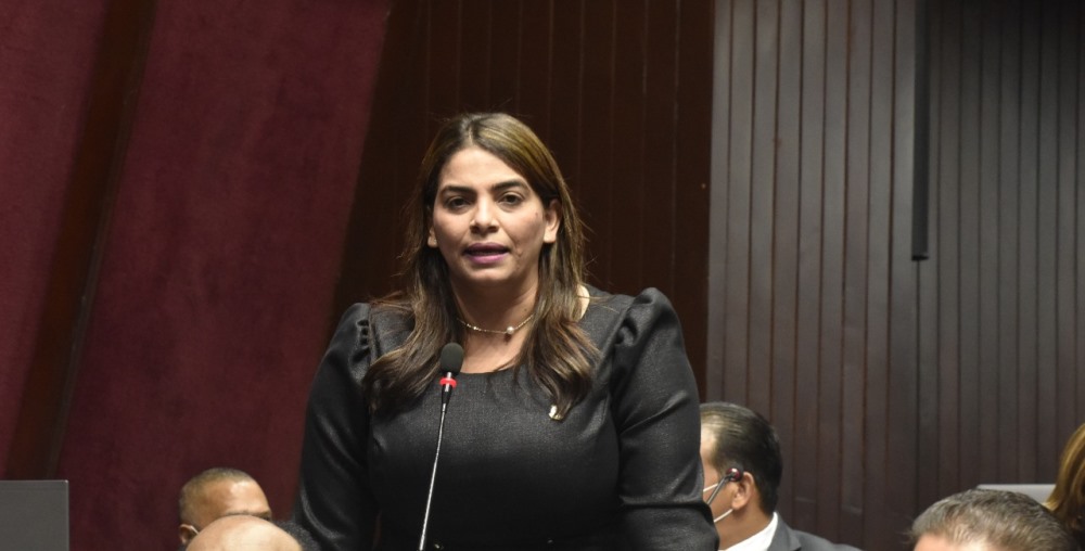 Diputada Verónica Contreras reafirma su posición provida ante tema de ...
