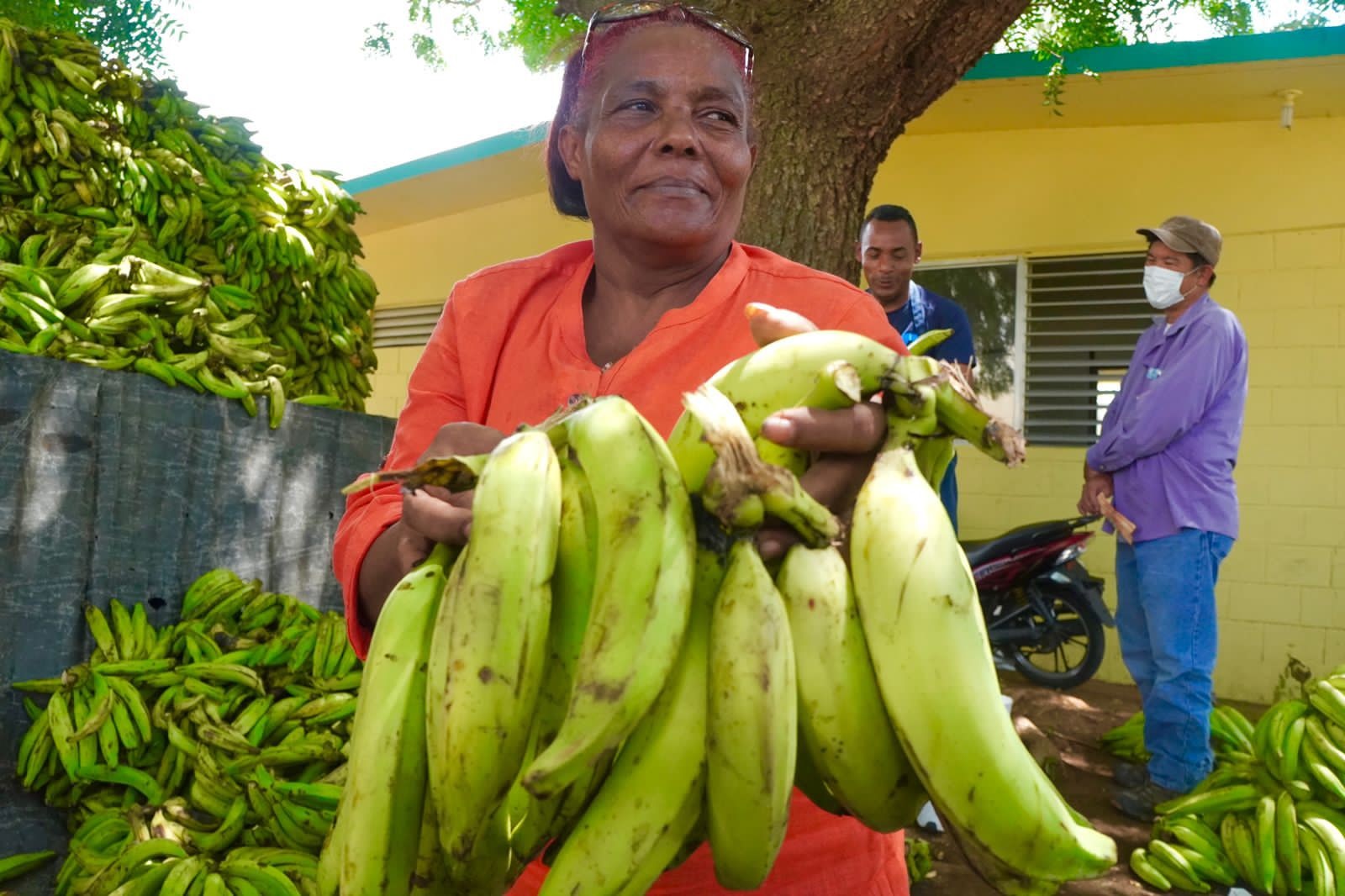 Inespre vende plátanos a 1 peso – El Nuevo Diario (República Dominicana)