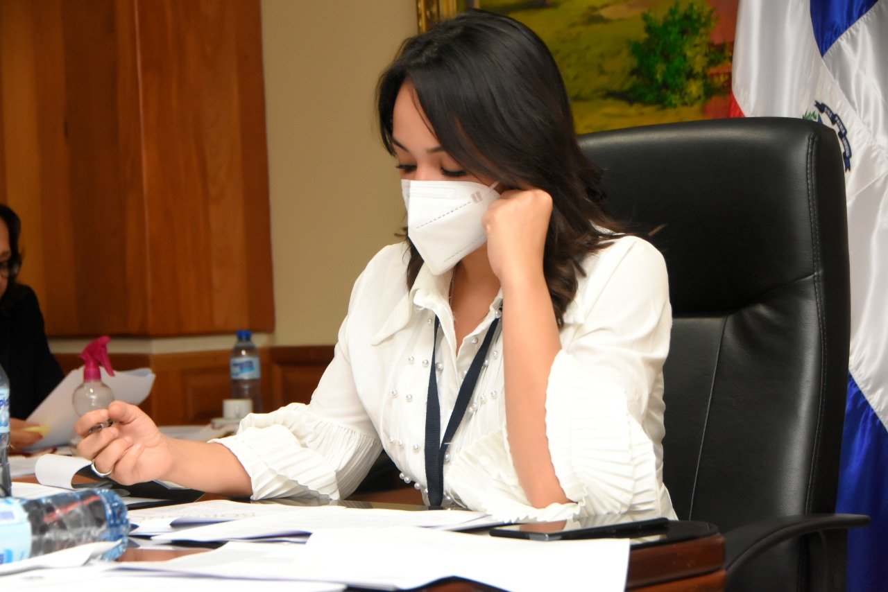 Faride Raful explica porqué no ha firmado propuesta de senadores que ...