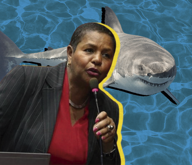 Elsa de León tras su destitución como gobernadora: “La tiburona siempre ...