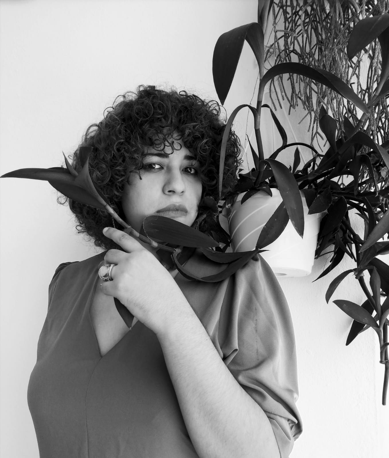 Las islas rotas, de Elizabeth Villamán – El Nuevo Diario (República ...