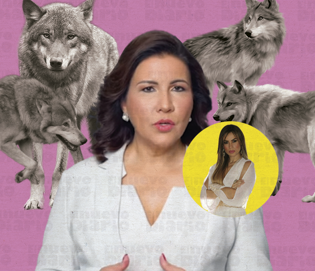 (VIDEO) Comunicadora Bárbara Plaza: “Margarita Cedeño ha sabido jugar ...