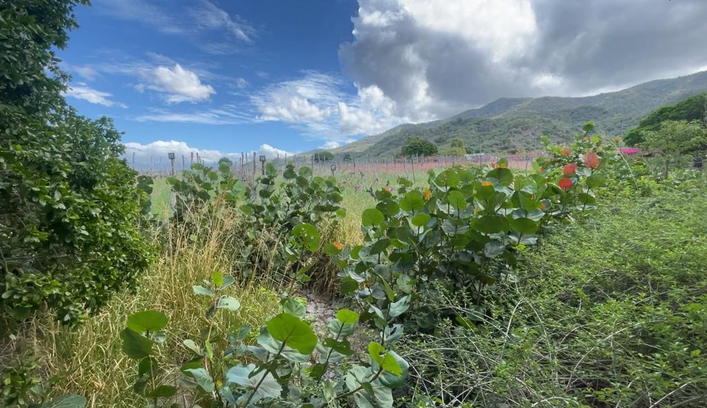 (VIDEO) Movimiento Descubre Azua dará a conocer parte fría de la ...