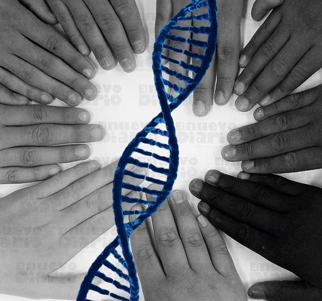 El 3,2 % del genoma sirve para la pigmentación. Son los genes de ...