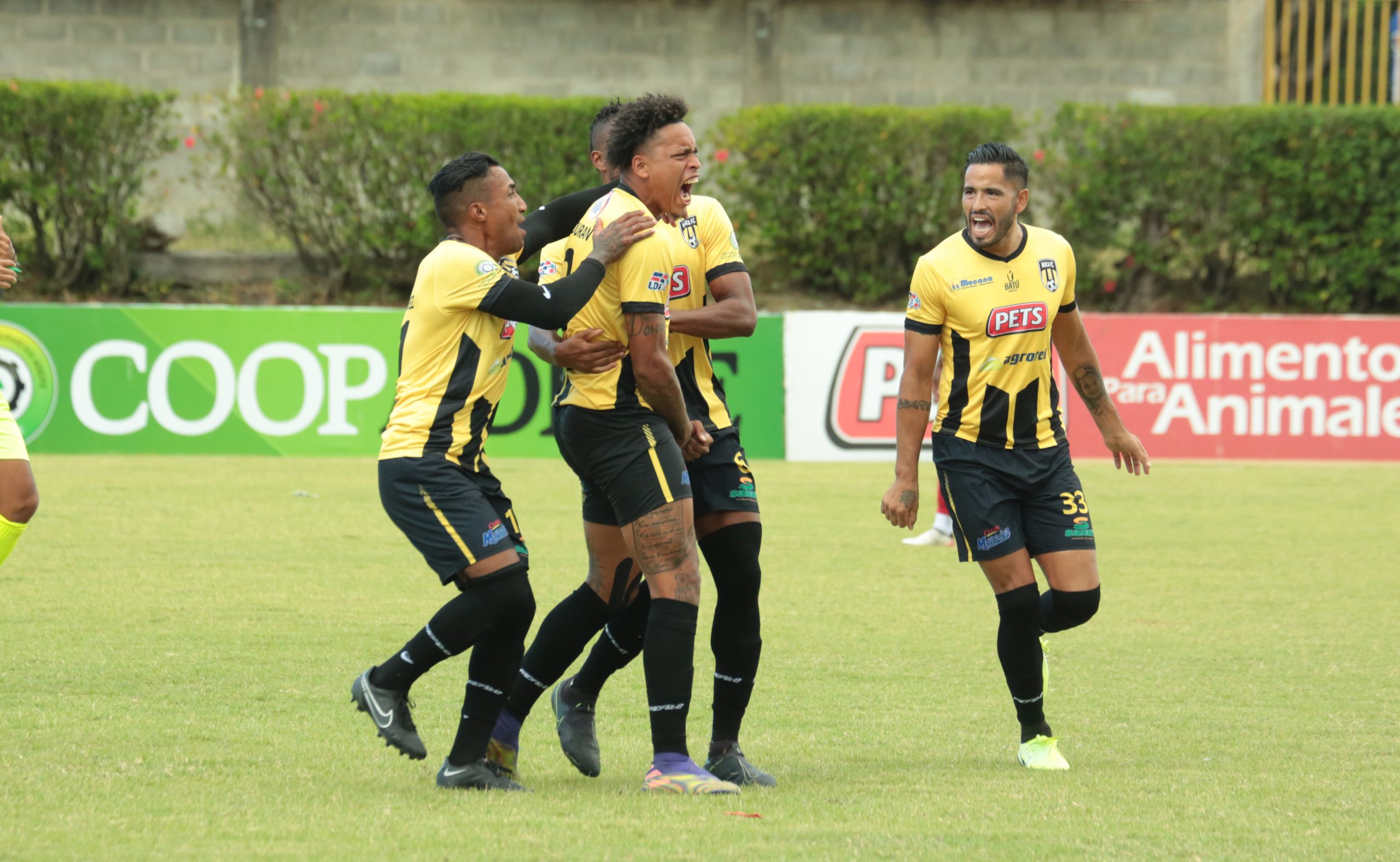 LDF: Moca FC quita invicto a Jarabacoa, mientras que OYM sorprende a ...