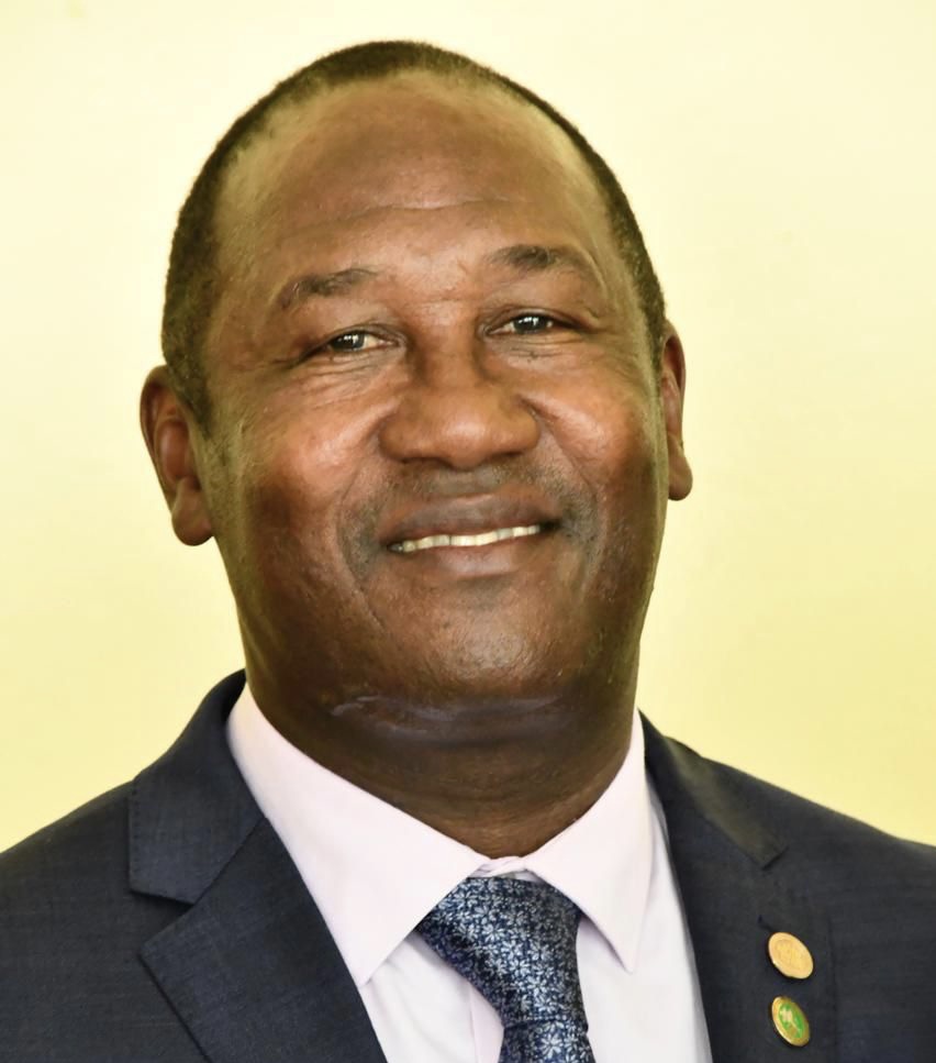 (VIDEO) Nuevo presidente del CODIA asegura rescatará la imagen del ...