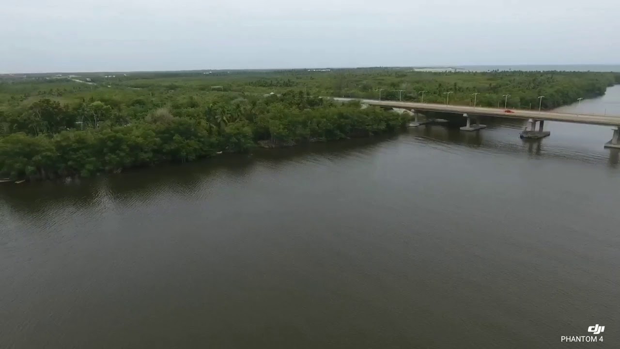 Desaprensivos matan miles de peces al echar líquido en río Soco de SPM
