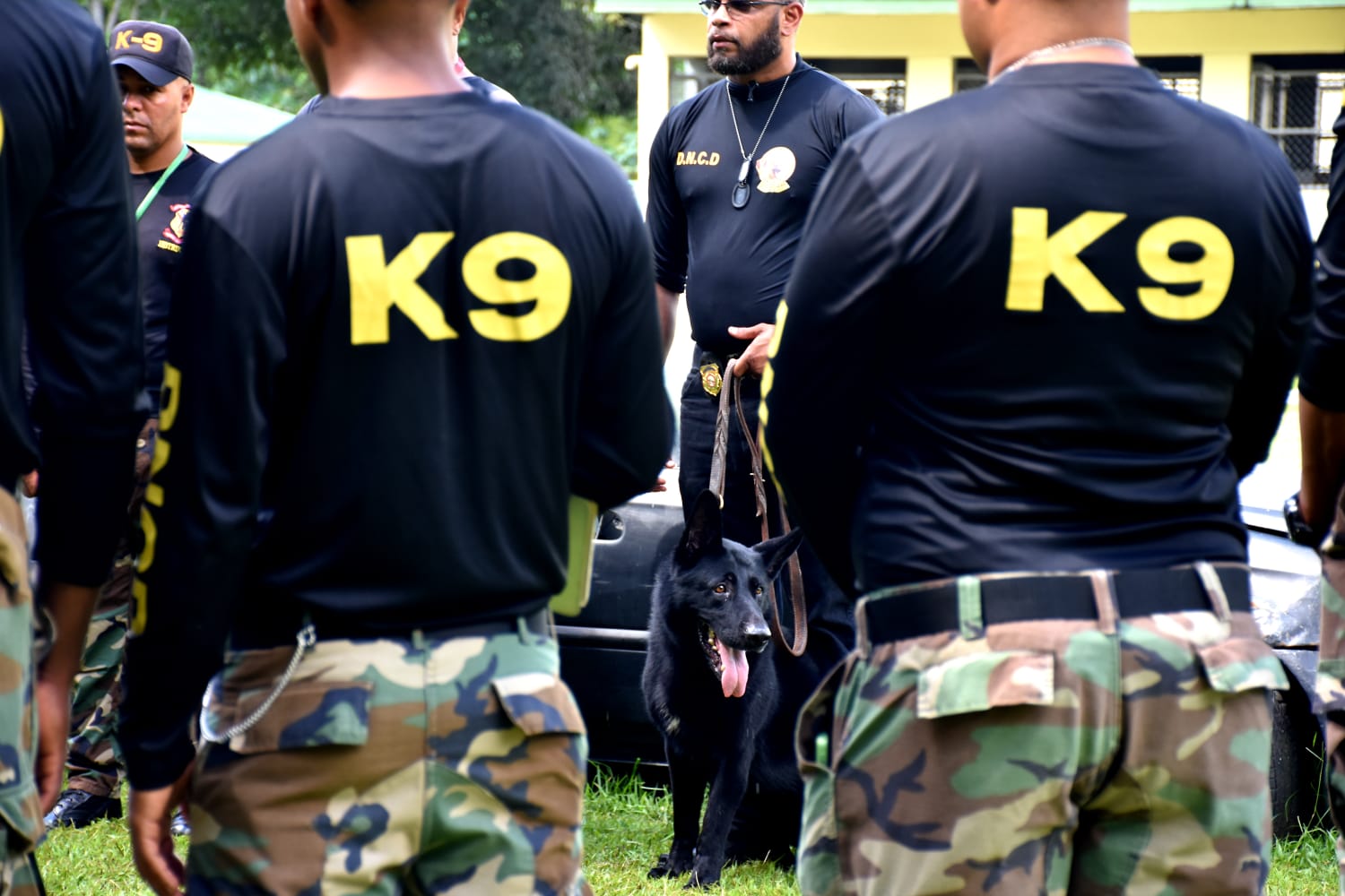 La DNCD ingresa 90 aspirantes agentes y binomios caninos – El Nuevo ...