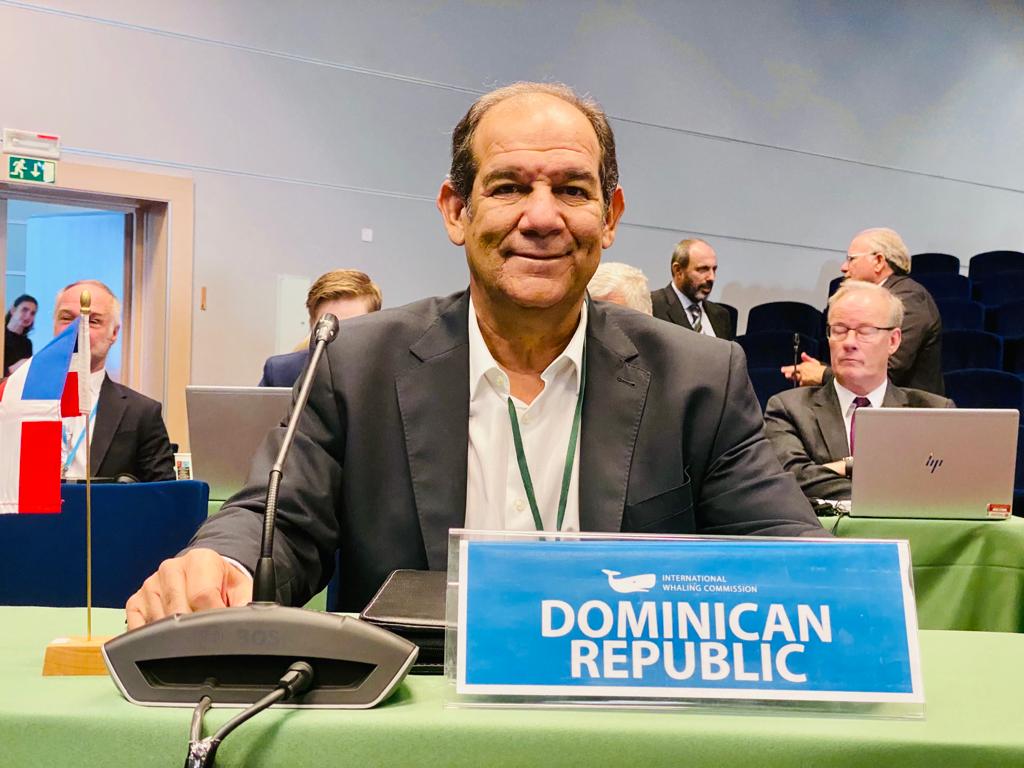Medio Ambiente se opone a cacería de ballena durante reunión del CBI ...