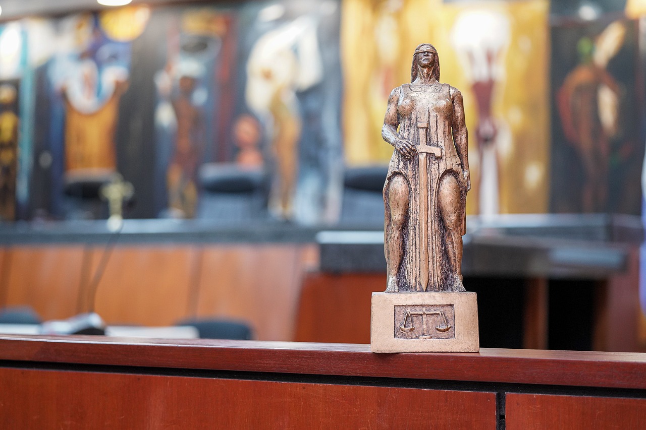 SCJ: la pena debe ser conforme al delito cometido y sobre la base de ...