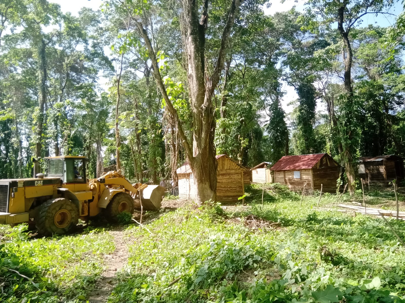 Medio Ambiente Informa Recupera Terrenos A Orillas Del R o Yuna Ocupado