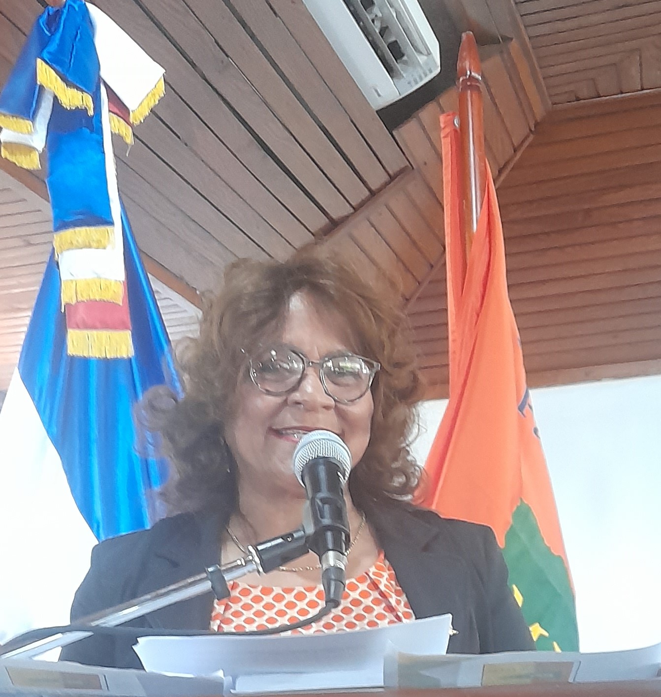 Candidata vicepresidencial del MPT aboga por cambios estructurales – El ...