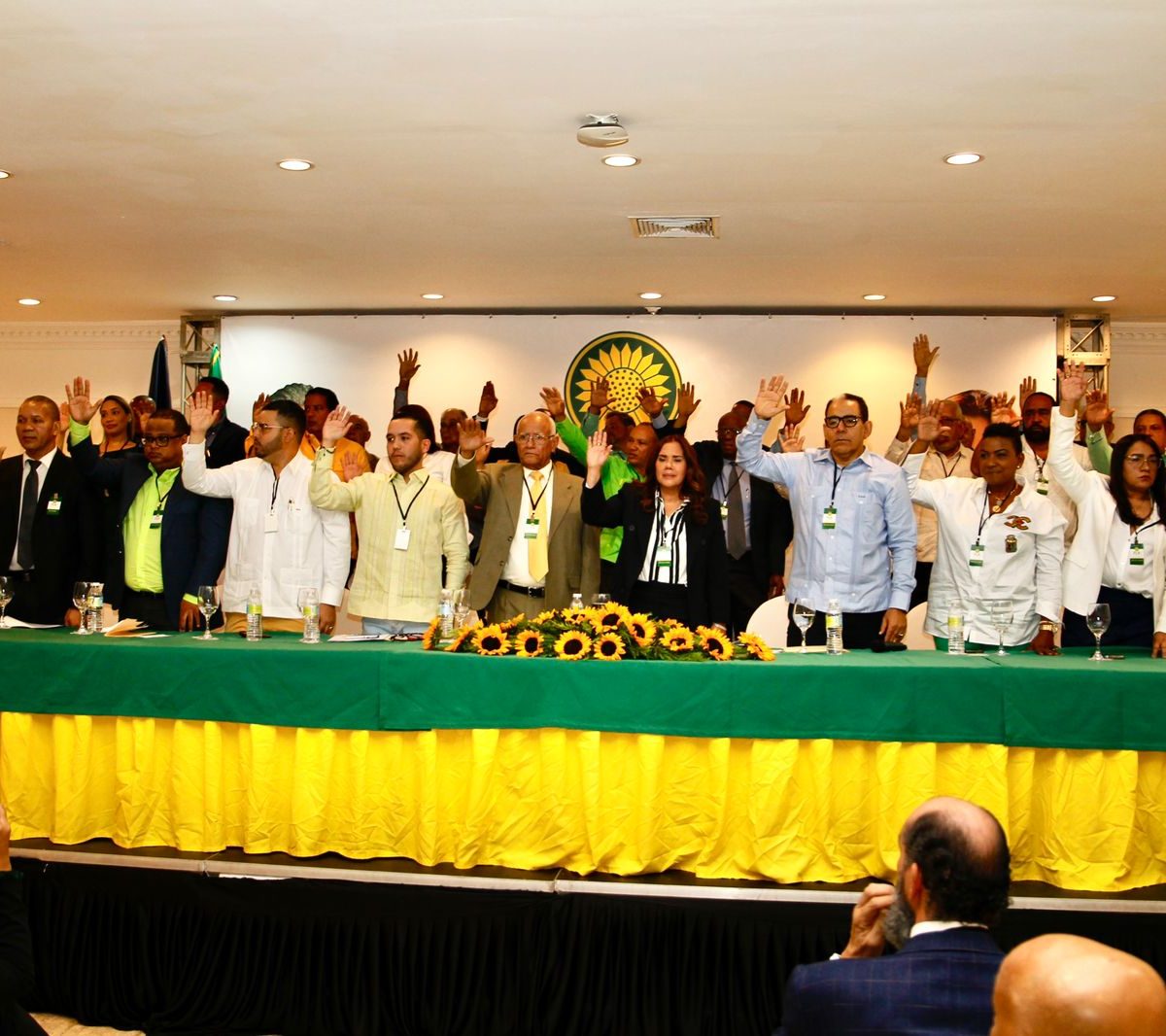 Eligen a Karina Aristy como presidenta del PLR; se compromete a seguir ...