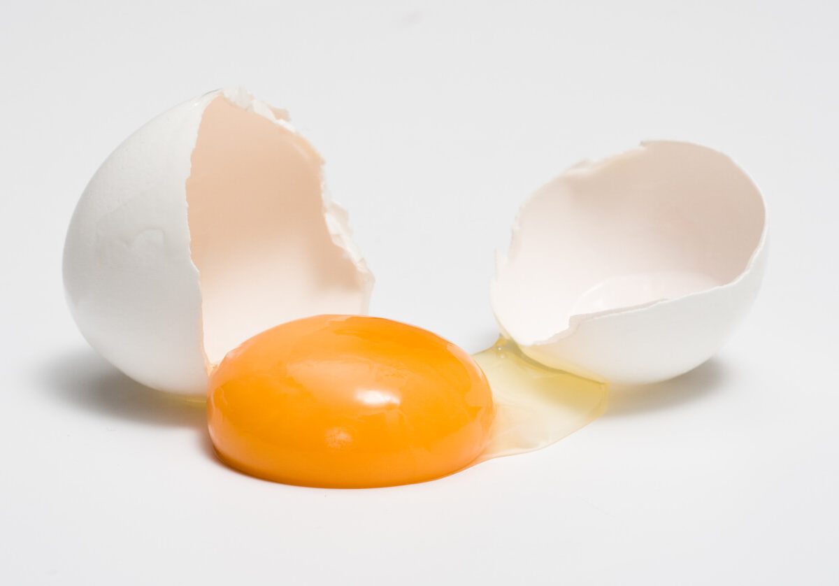 La yema de huevo, el ingrediente secreto utilizado en las pinturas de ...