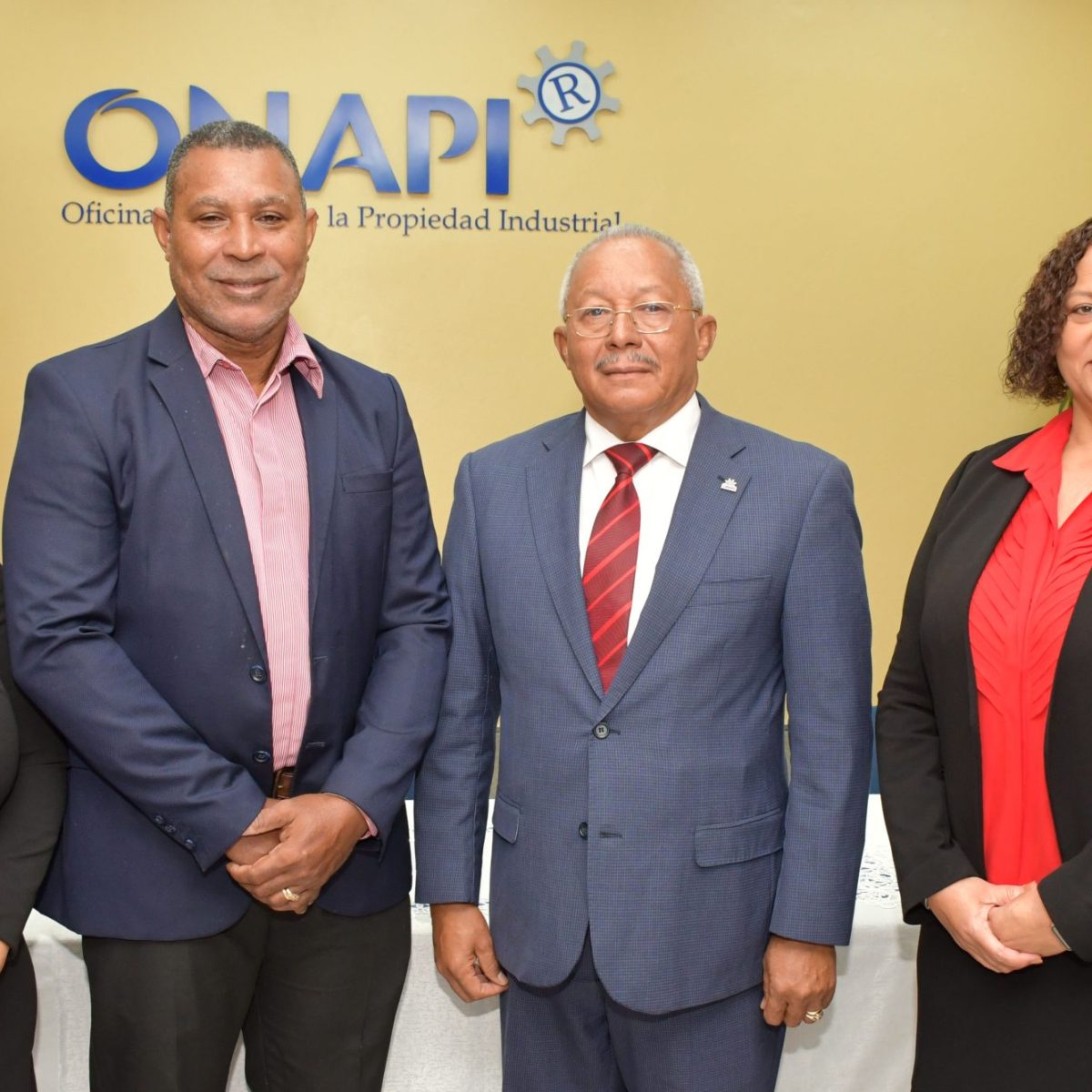 Onapi lanza concurso de diseños industriales para la artesanía en ...