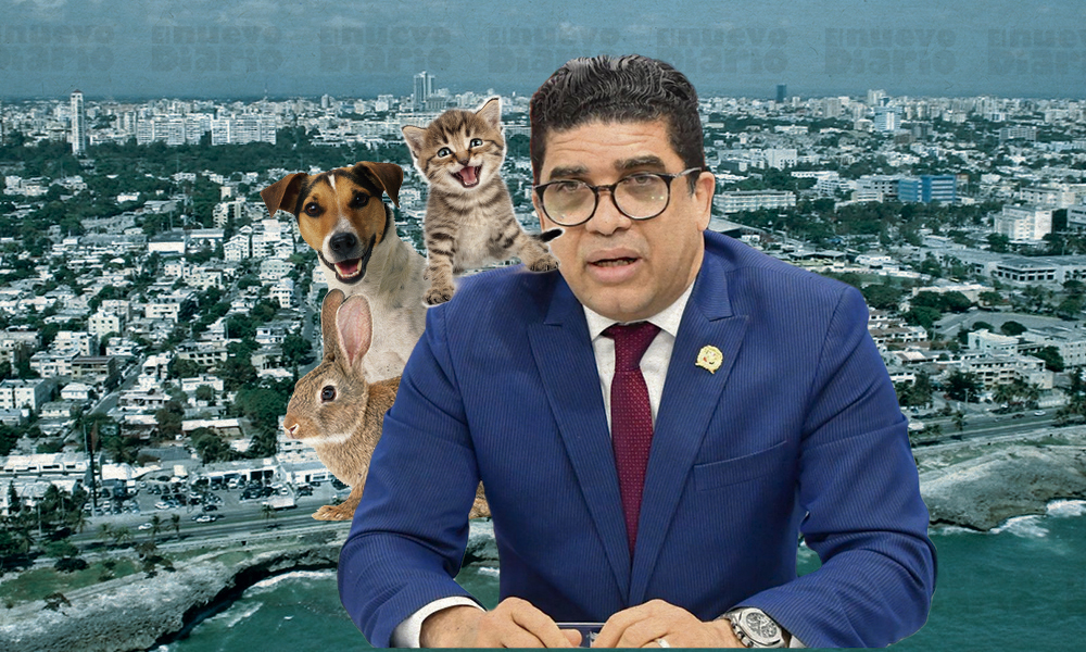 Dío Astacio promete moderno refugio animal de llegar la alcaldía SDE ...