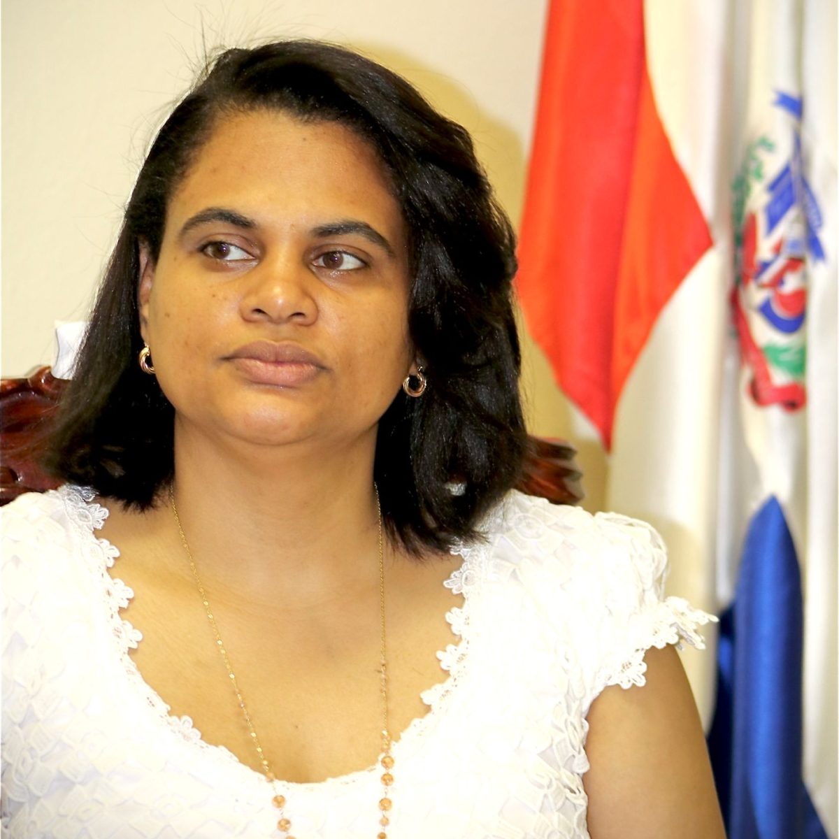 (VIDEO) Nidia Méndez enfocaría una gestión suya en mejorar calidad de ...