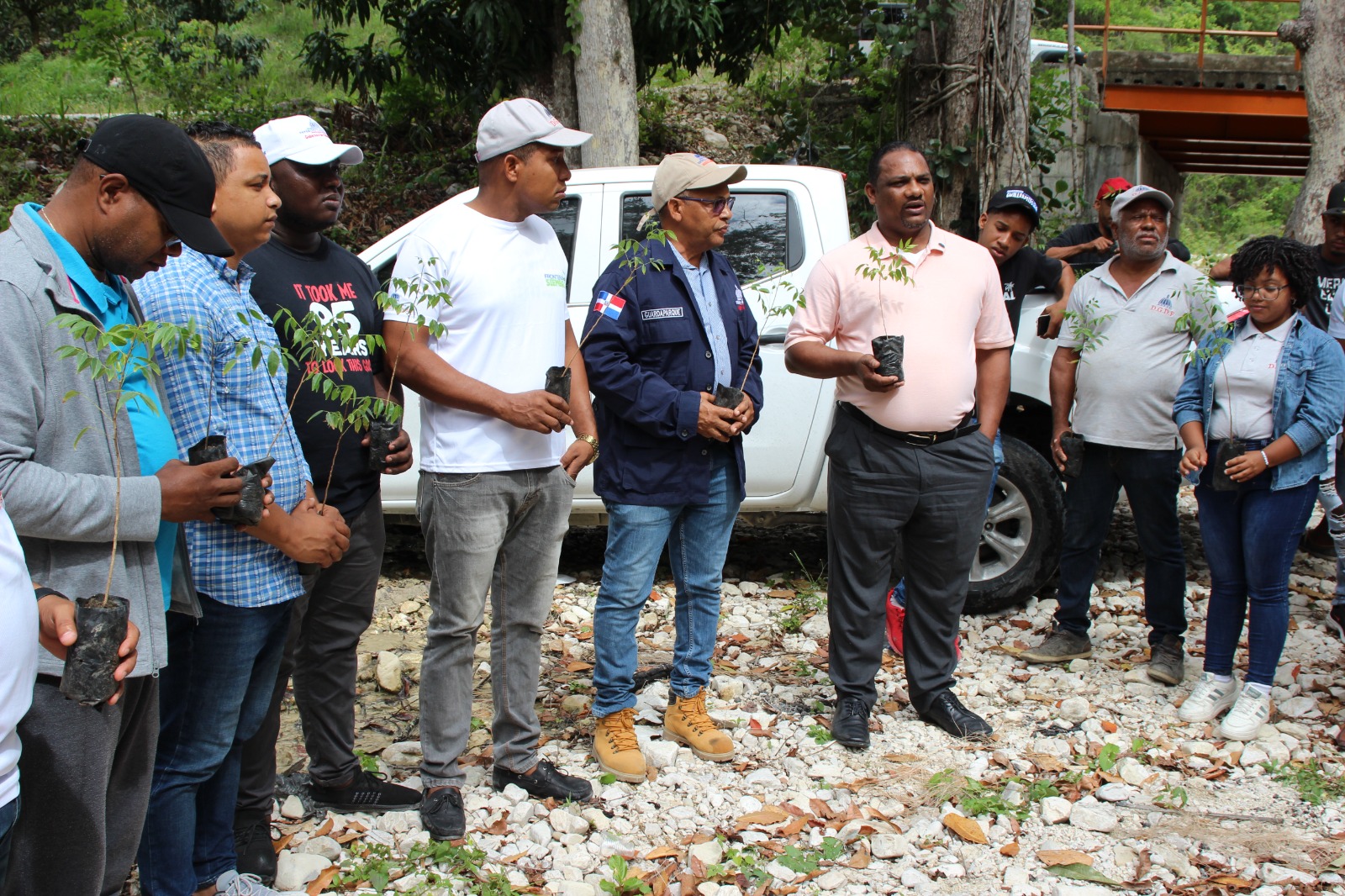 Cultivan más de 500 plantas de Caoba y otras especies durante jornada ...