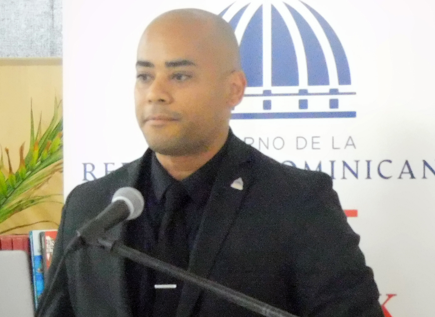 Director General de Cultura NY resalta gran apoyo de comunidad y ...