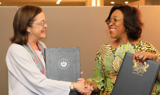 El Salvador establece relaciones diplomáticas con seis países de África – El Nuevo Diario ...