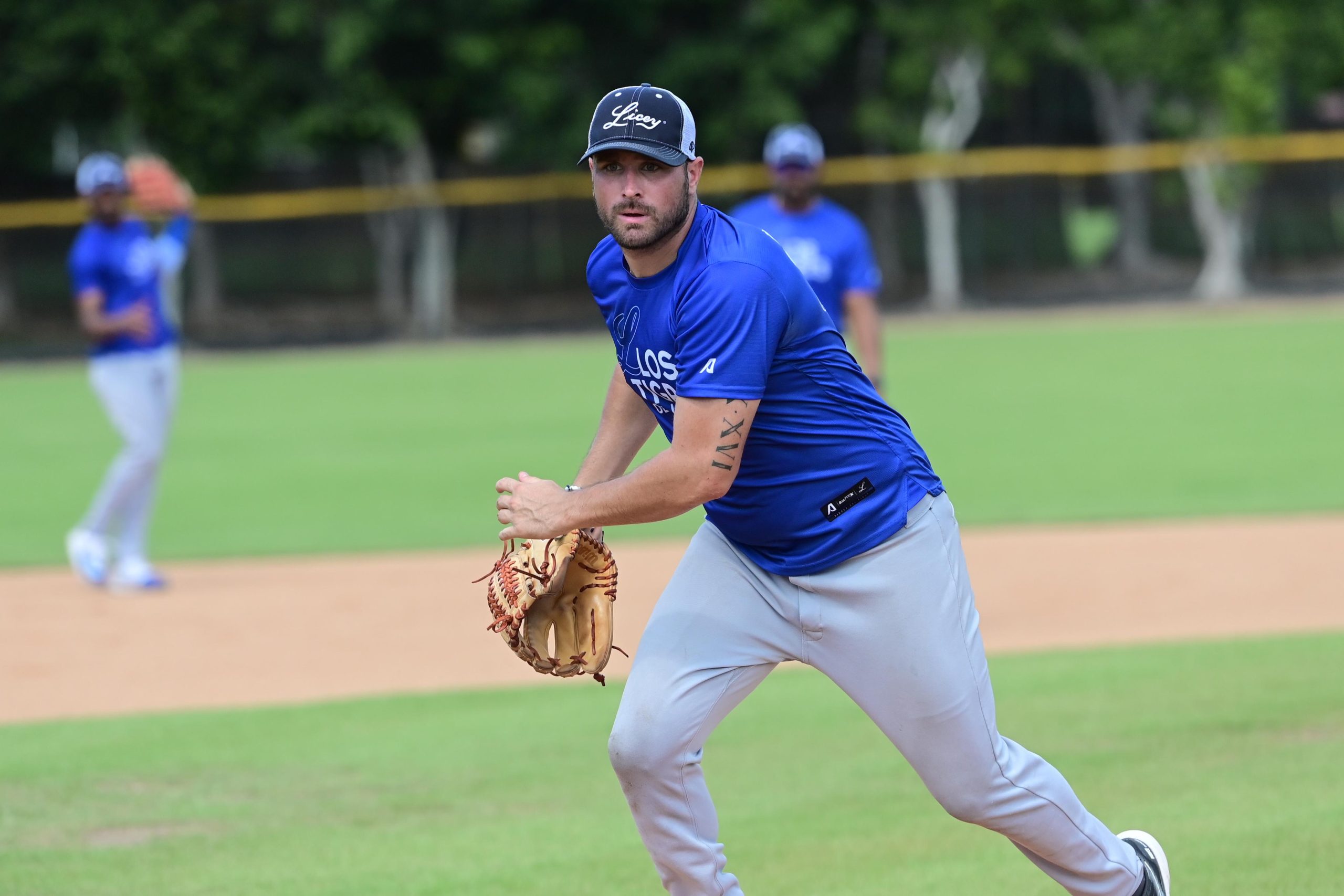 Steve Moyers dice está listo para competir de nuevo con el Licey – El ...