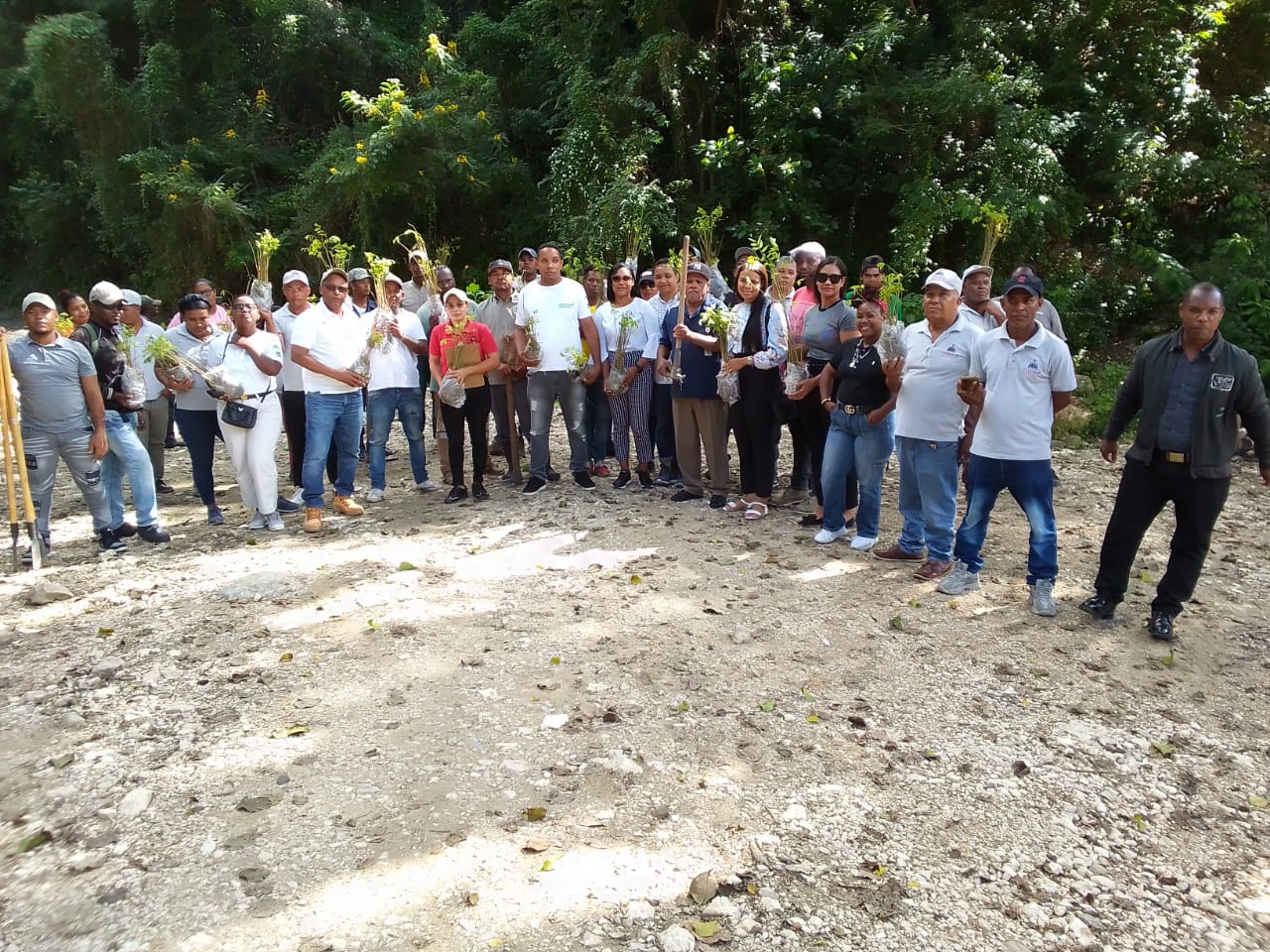 Desarrollo Fronterizo cultiva árboles en cuenca hidrográfica de Río ...
