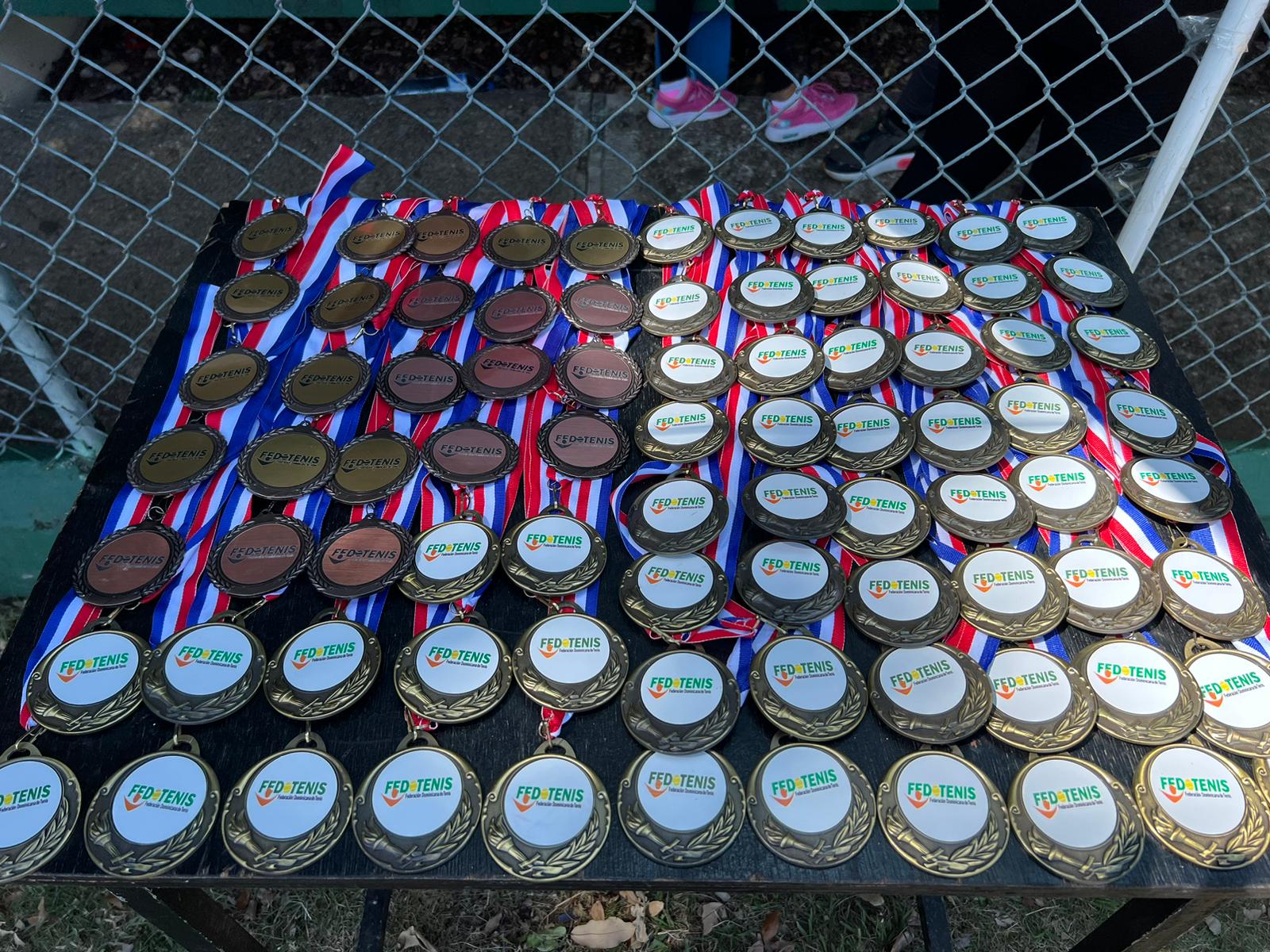 Fedotenis celebra XI Festival de Colores en el Centro Olímpico – El ...