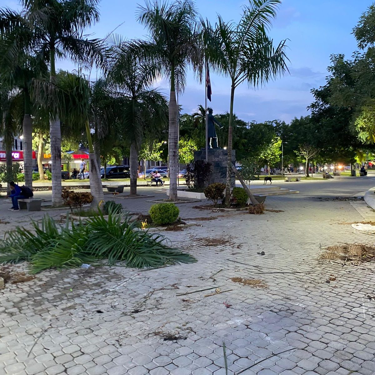 Alcaldía de Cotuí denuncia Vándalos cortan varios árboles del parque ...