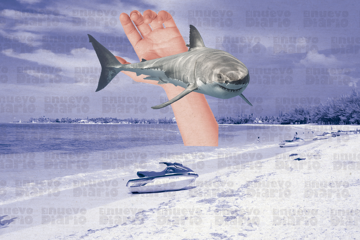 Muere mujer estadounidense tras ser atacada por tiburón en una playa de Bahamas – El Nuevo ...