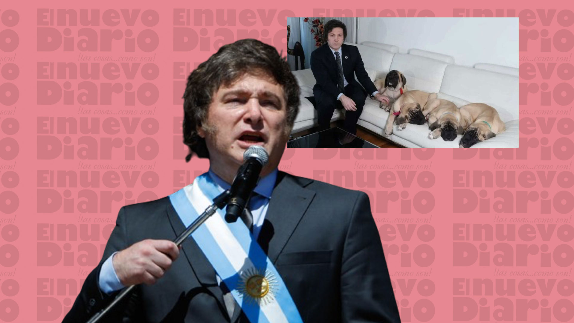 Las anécdotas de la asunción de Milei: de los perros en el bastón al ...