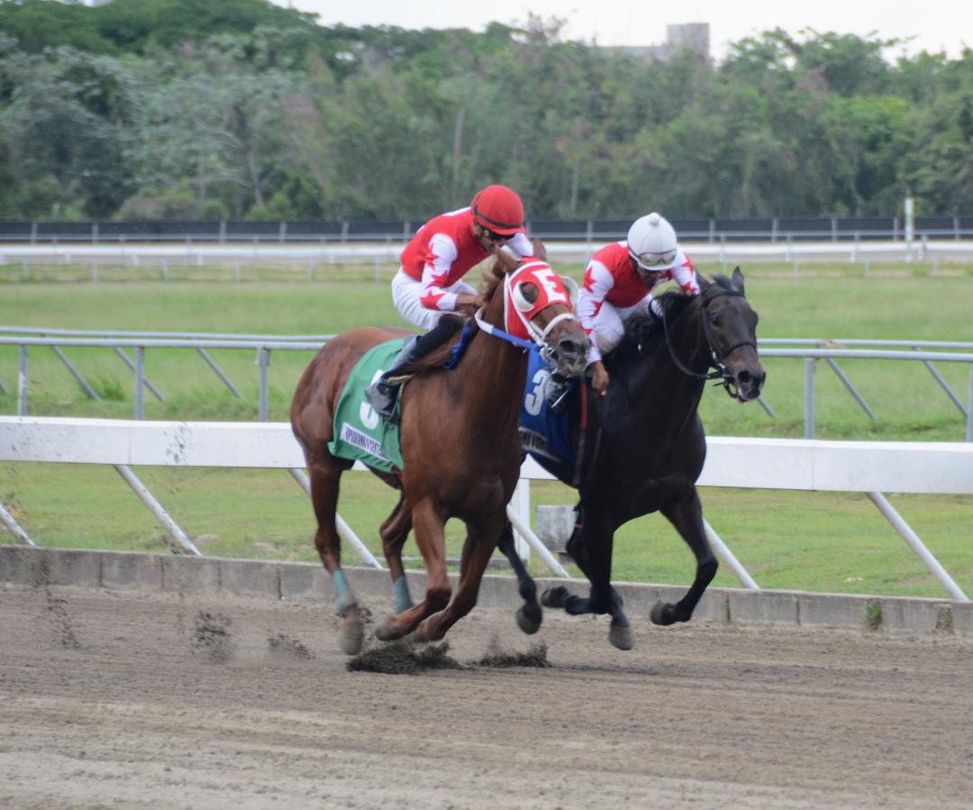 Anuncian inscripciones de ejemplares para Clásico de Criadores – El ...