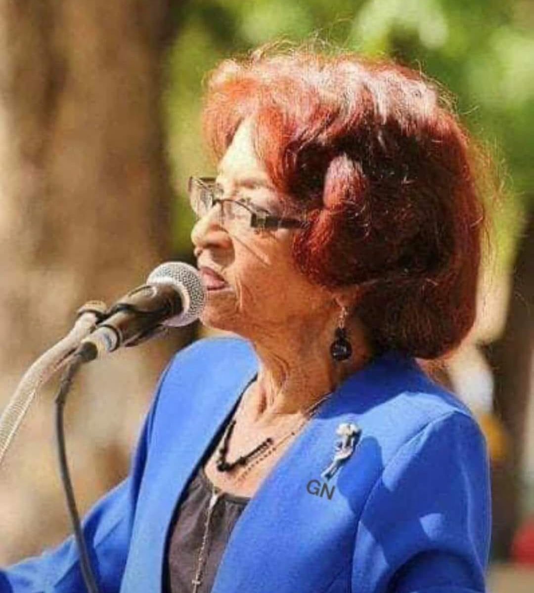 Declaran días 12 y 13 de enero como duelo municipal por muerte de ...