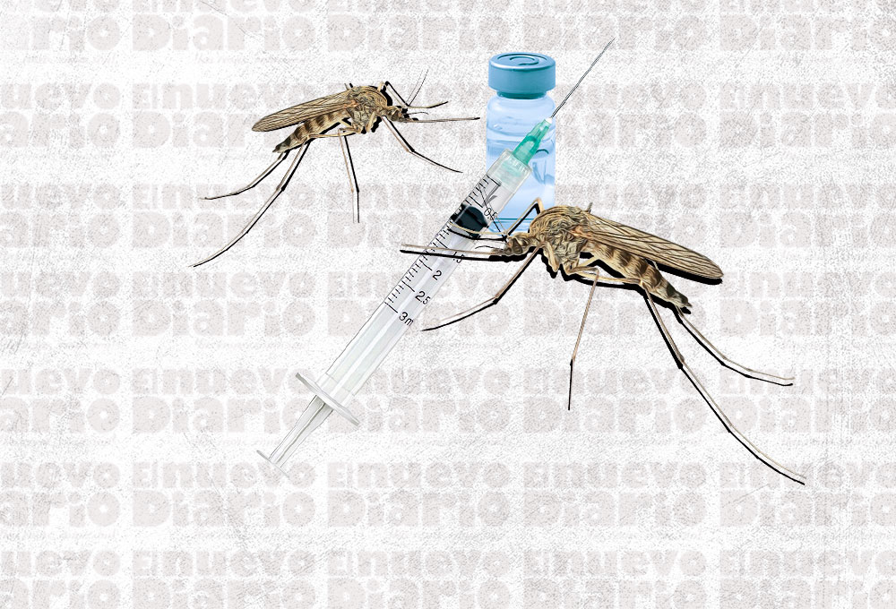 Prueban con éxito nueva vacuna contra el dengue en Suiza – El Nuevo ... Prueban con éxito nueva vacuna contra el dengue en Suiza – El Nuevo ...