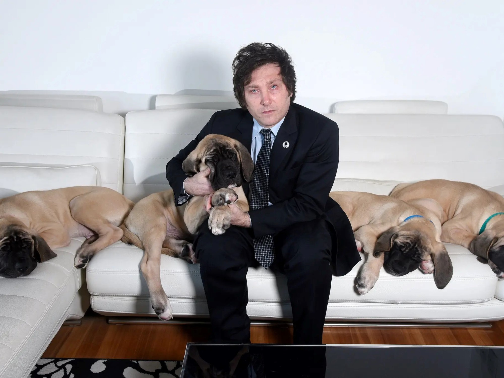 La relación de Javier Milei con sus perros levanta polémica en ...