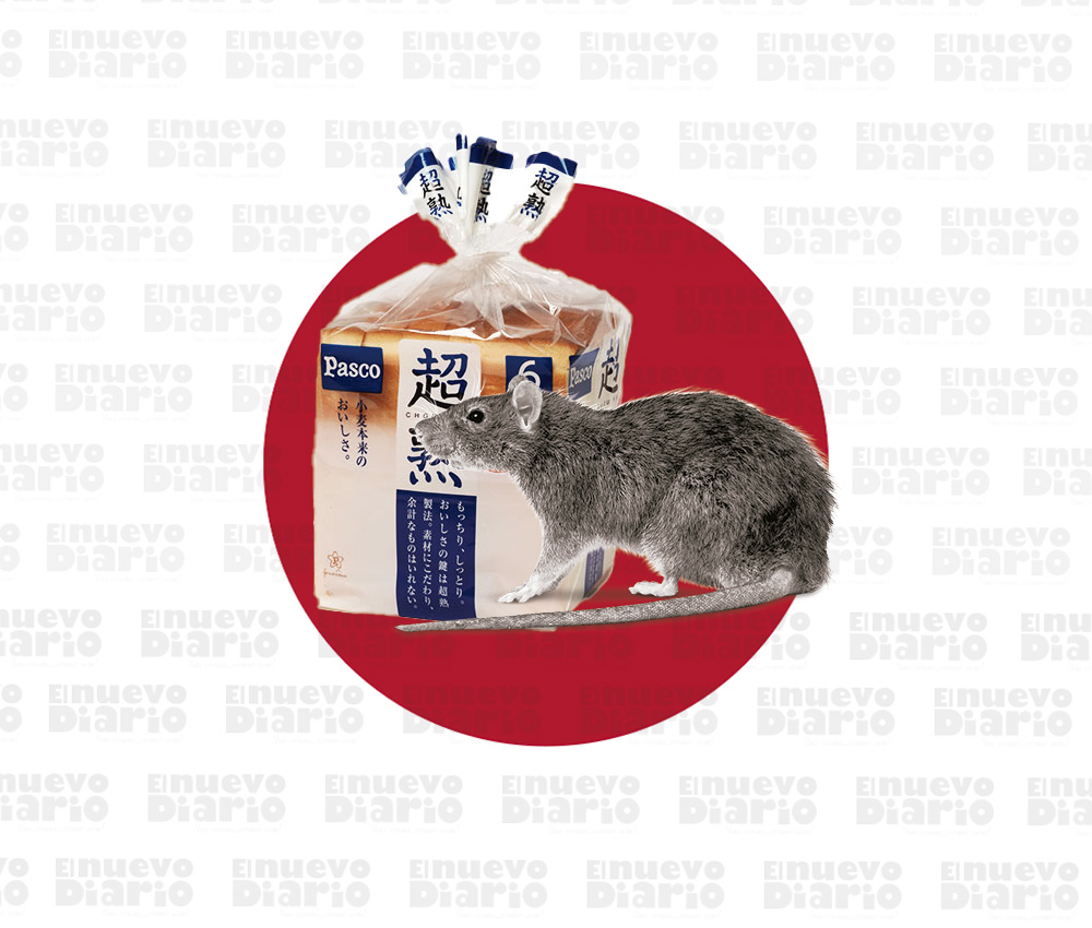 Retiran del mercado más de 100.000 paquetes de pan en Japón al ...