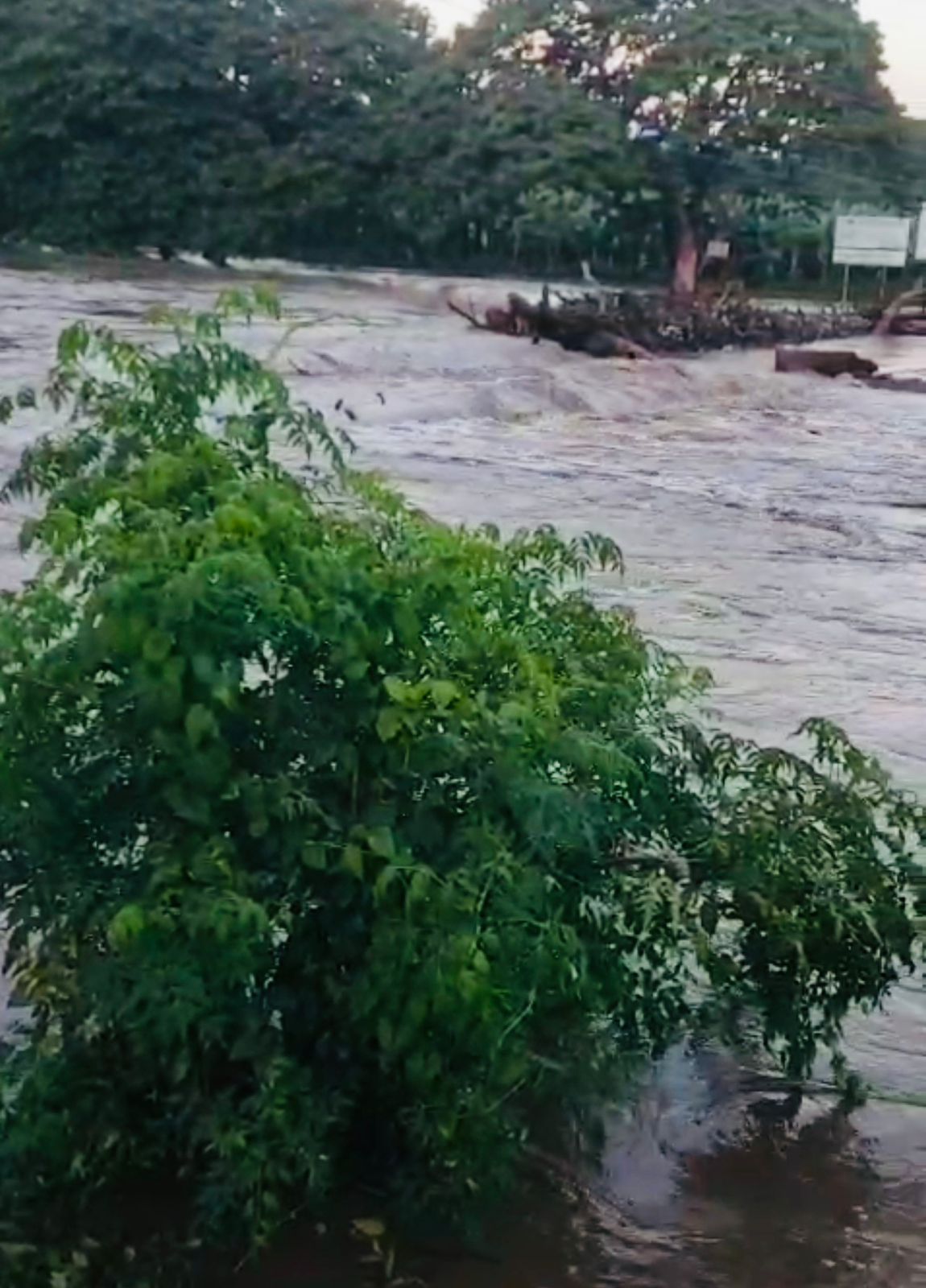 (VIDEO) Desborde del río Amina paraliza tránsito en Valverde – El Nuevo ...
