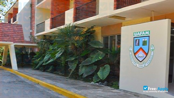 Uafam culmina proceso de evaluación quinquenal del Mescyt – El Nuevo ...